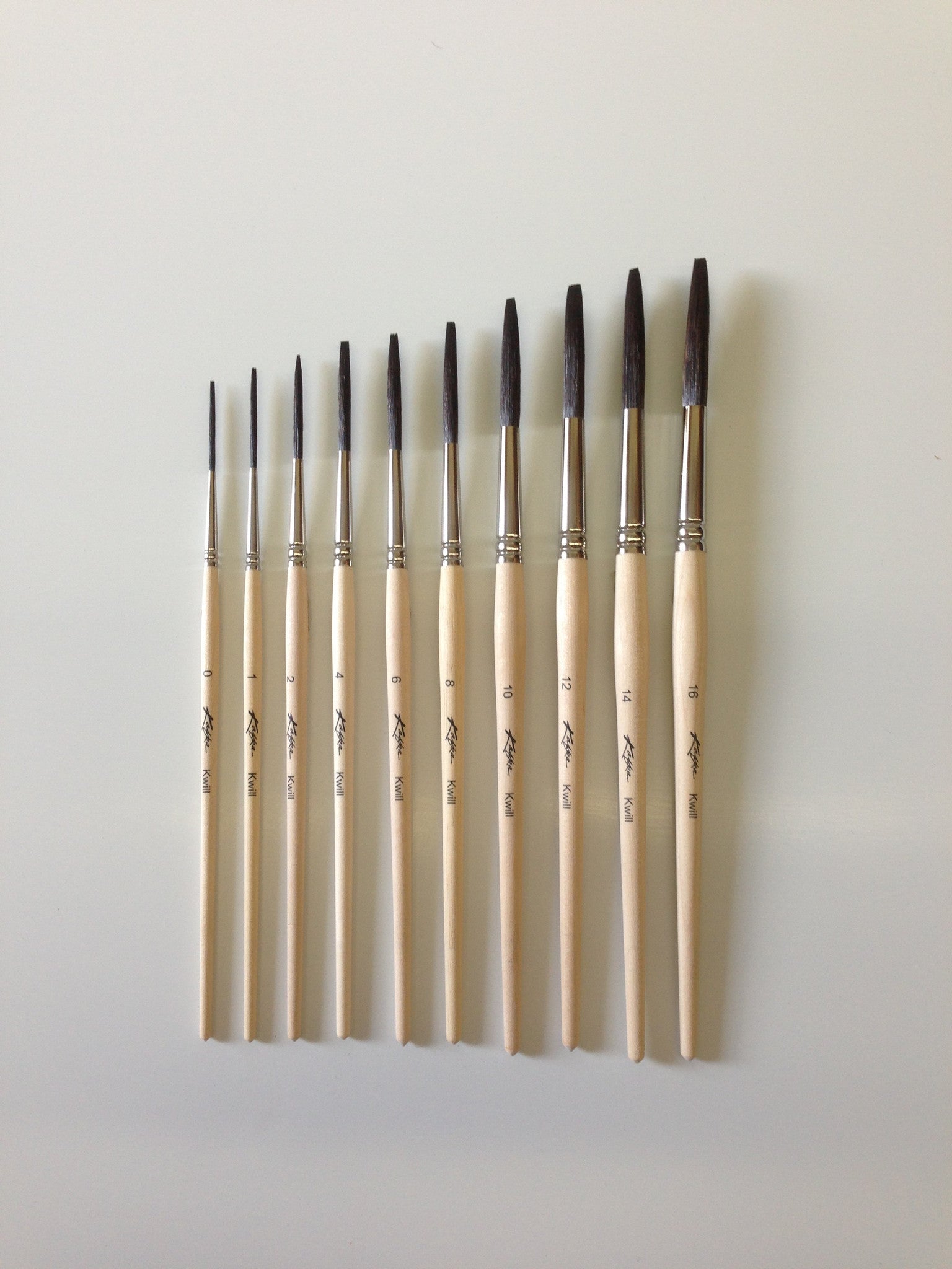 All Products – SteveKafka.com